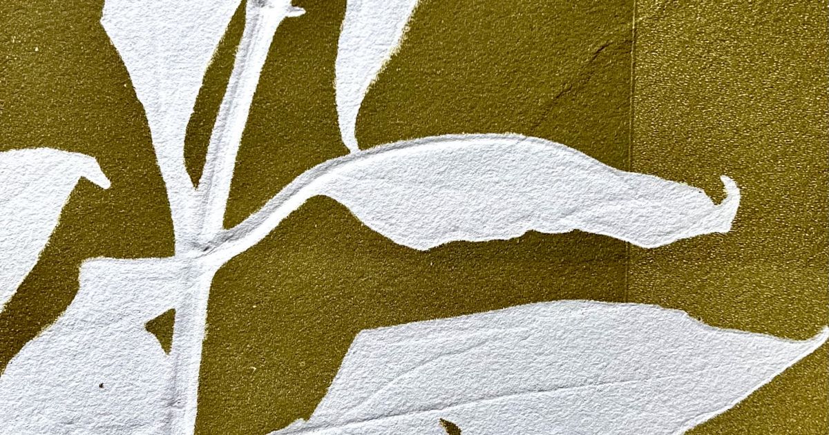 Mary Messick and Marilyn Greco: Inspired by Nature | Monday-Saturday ...